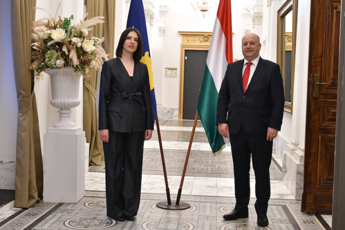 Kosovo Celebrates 15 Years of Independence | Diplomatic Press Agency